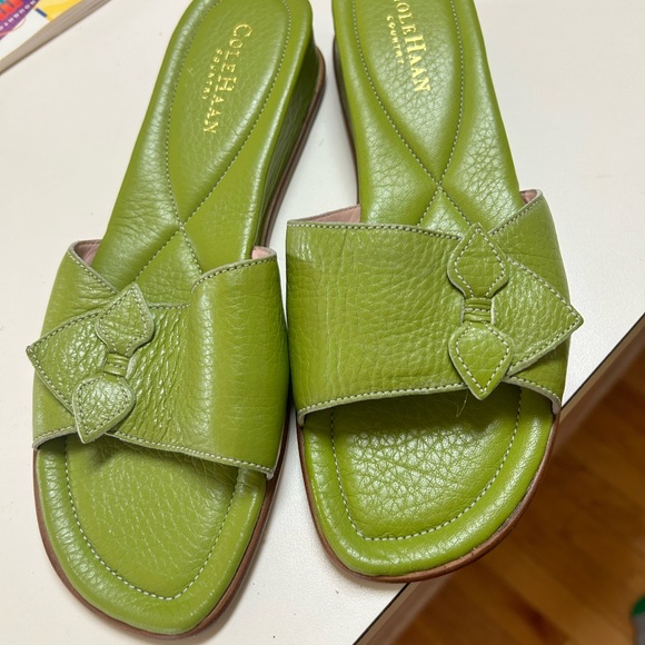 Cole Haan | Shoes | Cole Hann Green Sandles | Poshmark